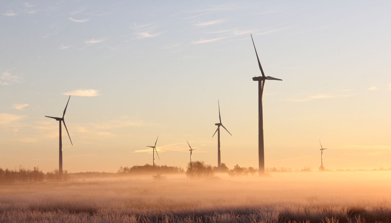 Embrace Renewable Energy for a Sustainable Future